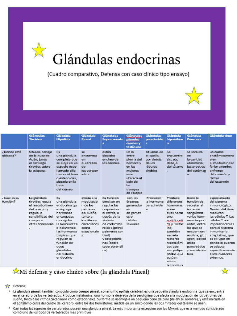 Glándulas endocrinas | PDF | Órgano (anatomía) | Anatomia animal