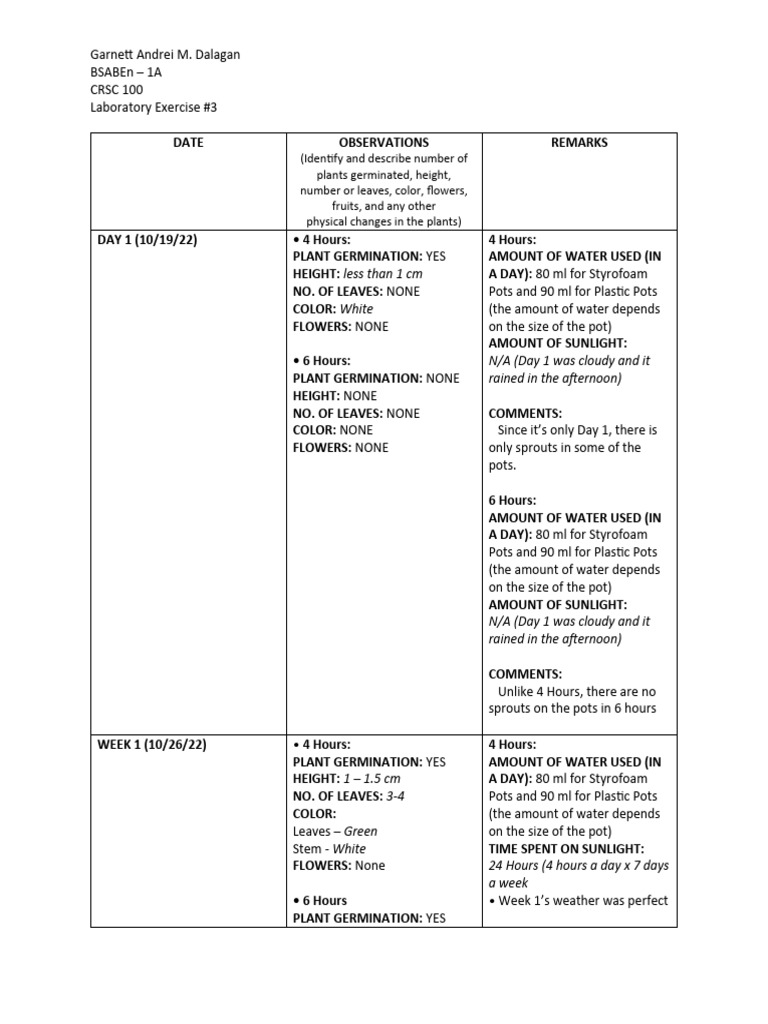 CRSC Laboratory Exercise 3 (Pechay) | PDF | Leaf | Flowers