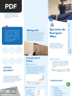 Ejercicios de Buerger Allen | PDF
