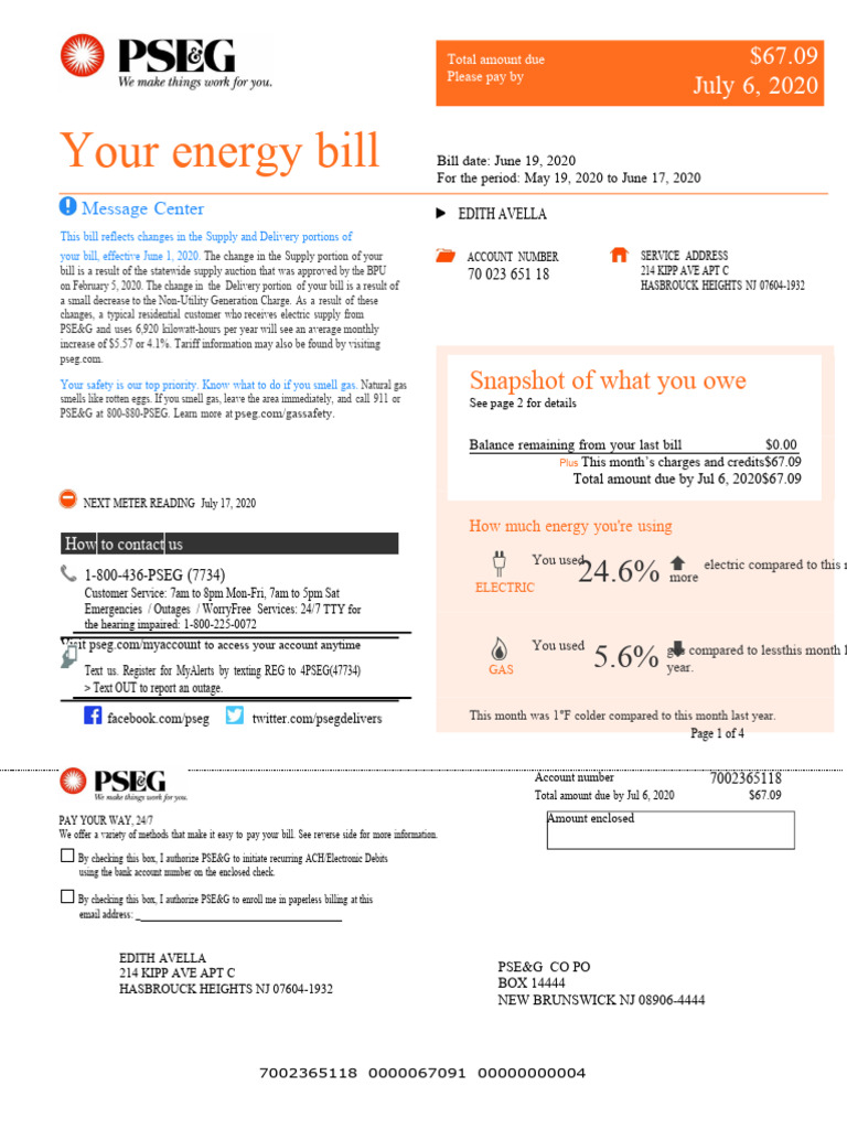 Pseg Sample Electric Bill PDF Free | PDF