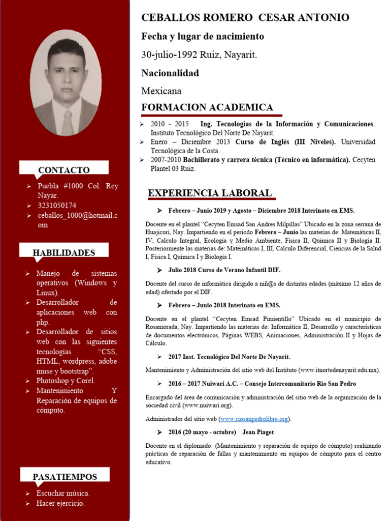 Curriculum Cesar Ceballos | PDF