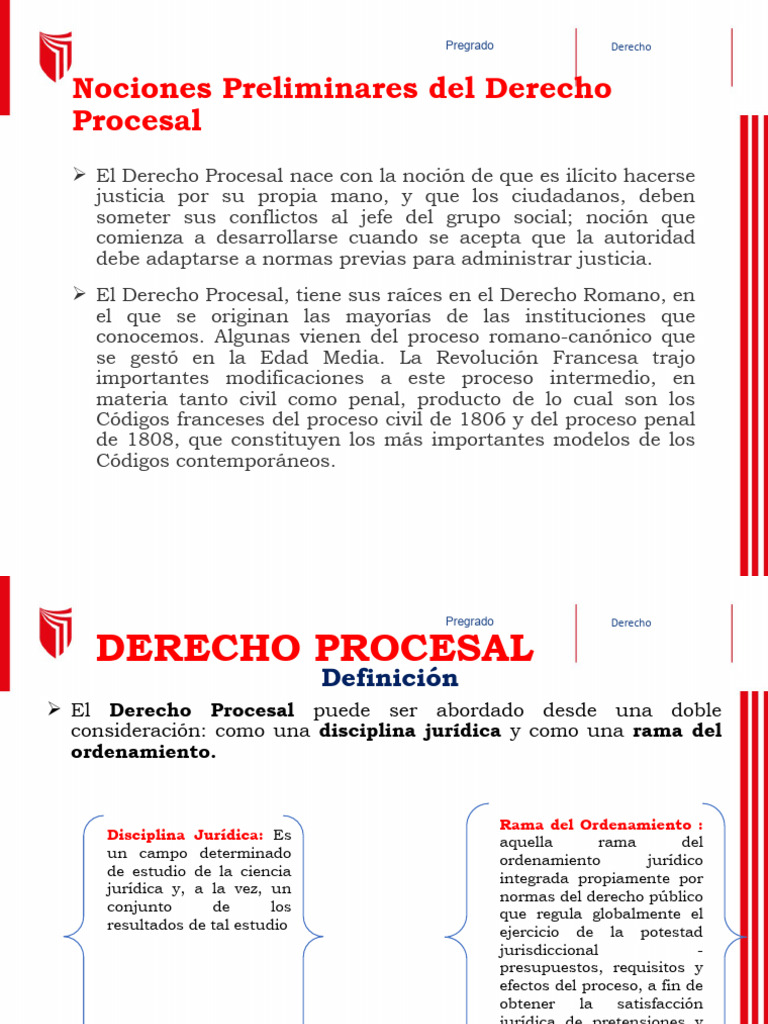 Sesión 1, NOCIONES PRELIMINARES | PDF | Ley procesal | Derecho penal Sesión 1, NOCIONES PRELIMINARES | PDF | Ley procesal | Derecho penal