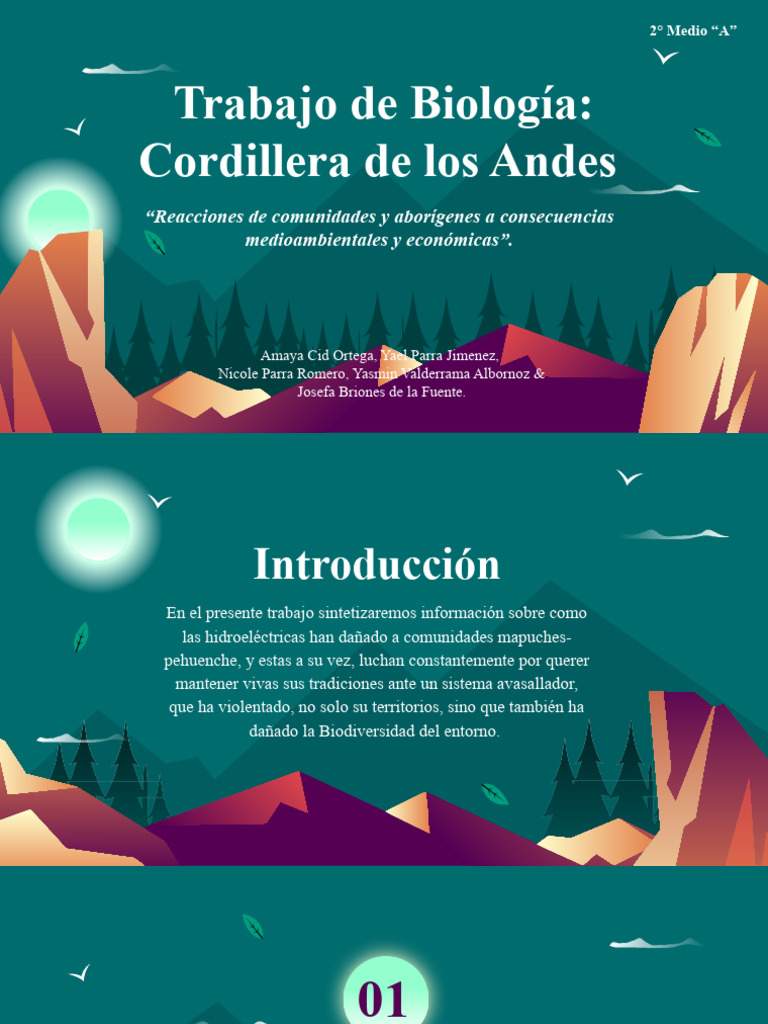 Trabajo de Biologia - Cordillera de Los Andes | PDF | Biodiversidad | Agua