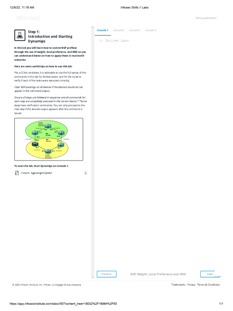 BGP - Infosec Skills - Labs | PDF