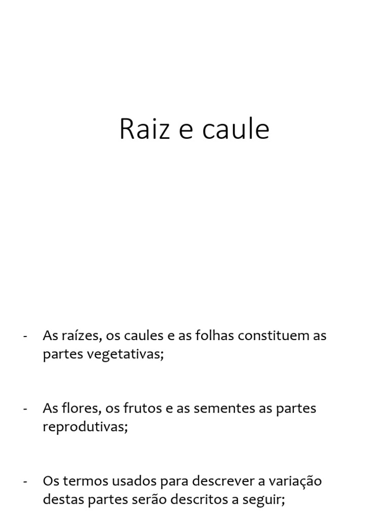 Raiz e Caule | PDF