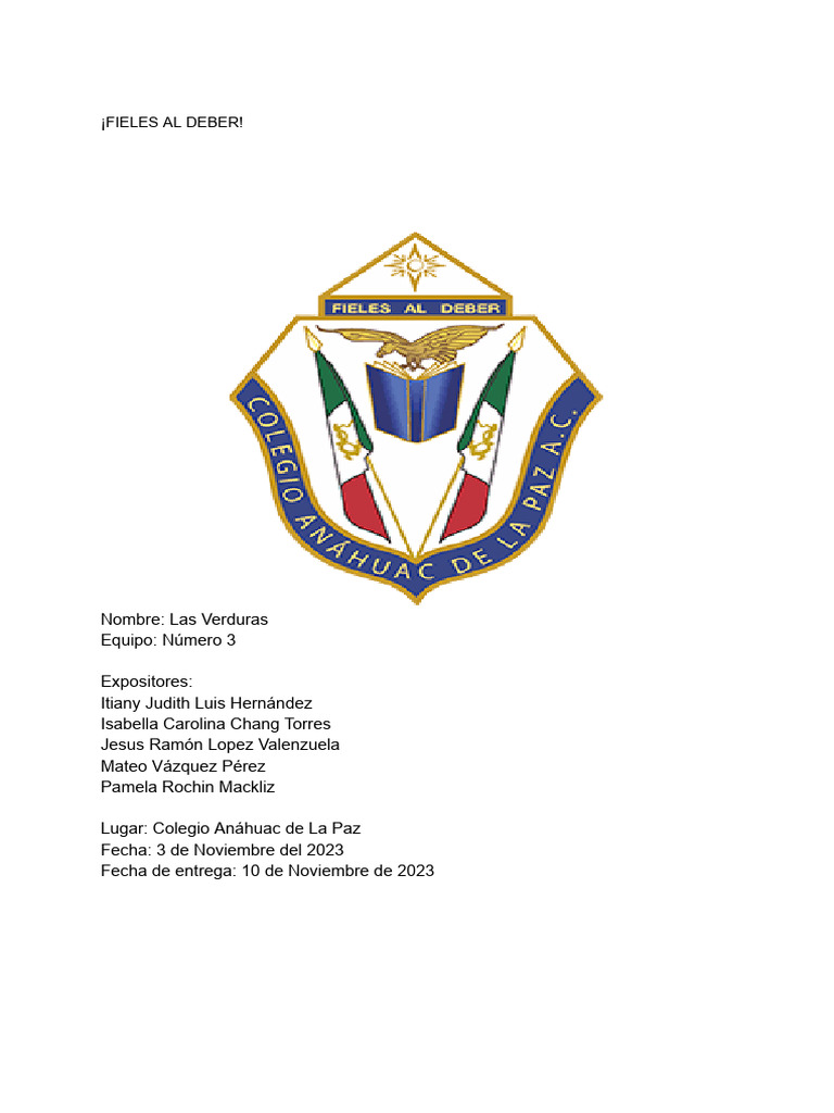 Documento Final | PDF