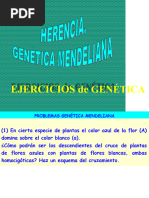 52 Problemas Resueltos de Genética Mendeliana | PDF | Dominancia ...