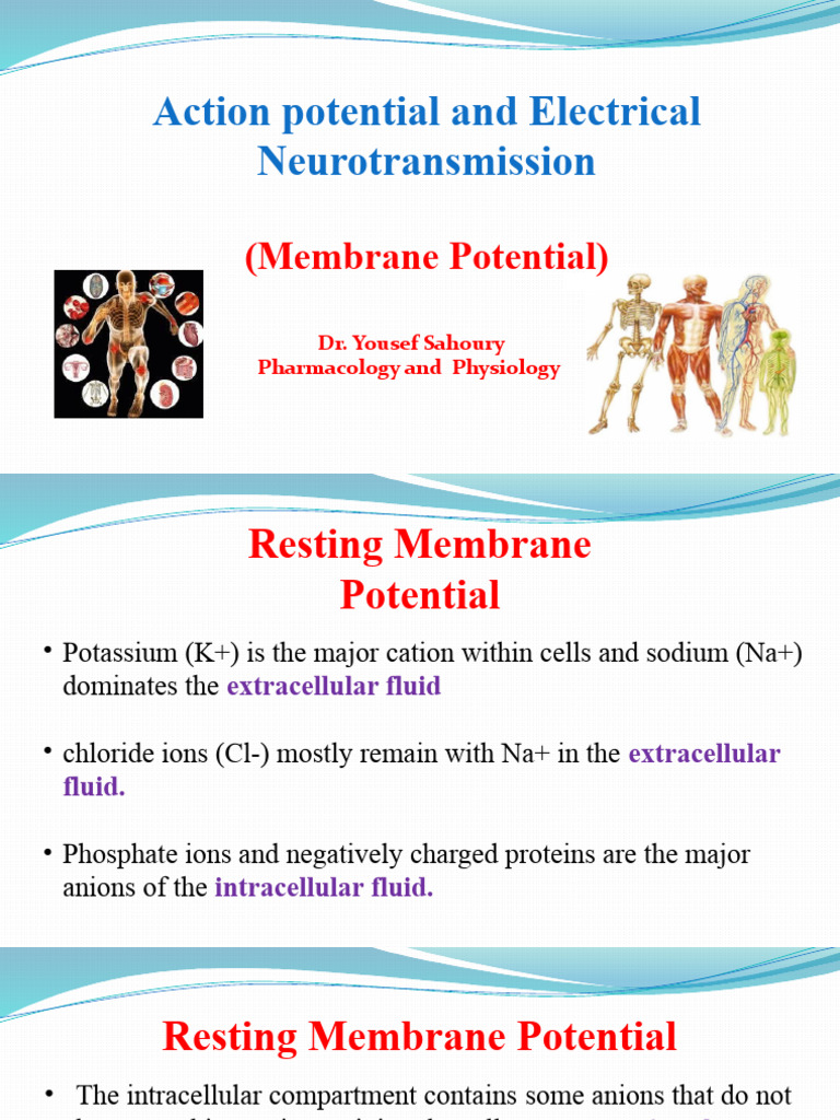 Membrane Potential and Action Potential (1) - 1 | PDF | Action ...