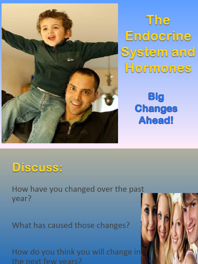 Endocrine System and Hormones 1 | PDF | Endocrine System | Hormone