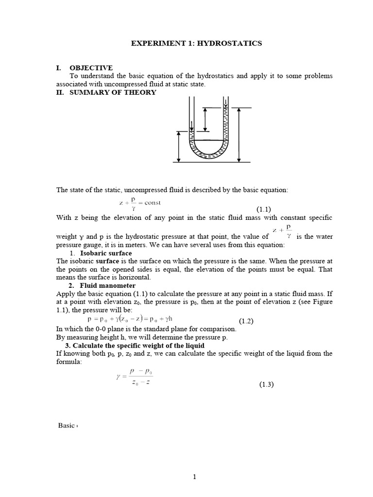 Experimental Report - in English | PDF