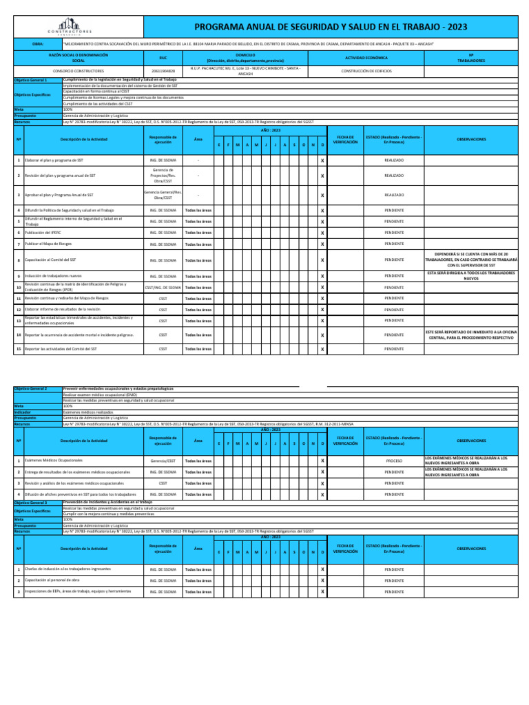 Programa Anual de SST - Nivin | PDF | Seguridad y salud ocupacional