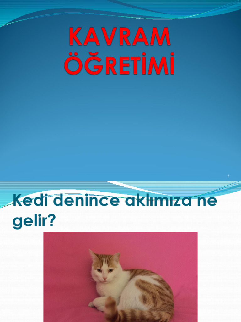 Kavram Egitimi 18 | PDF Kavram Egitimi 18 | PDF