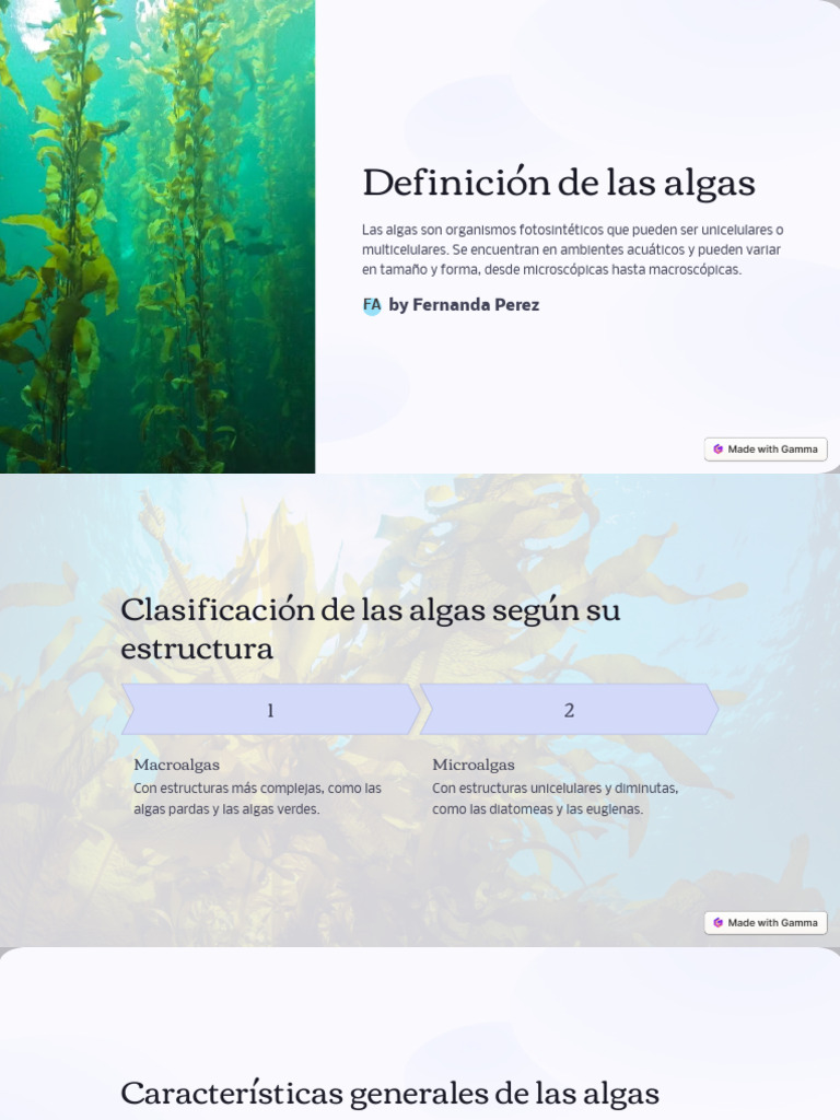 Definicion de Las Algas | PDF | Algas | Biología