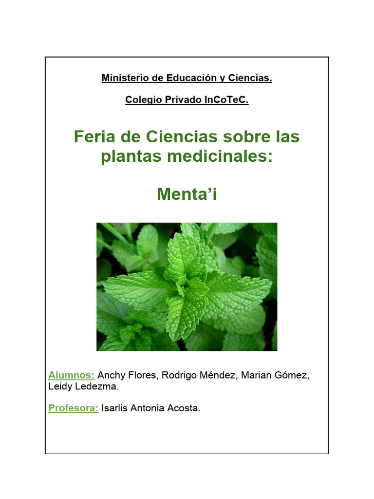 Beneficios y usos de la menta | PDF | Mentha
