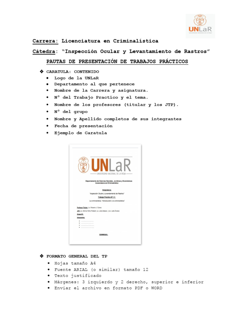 Formato y pautas para TP | PDF