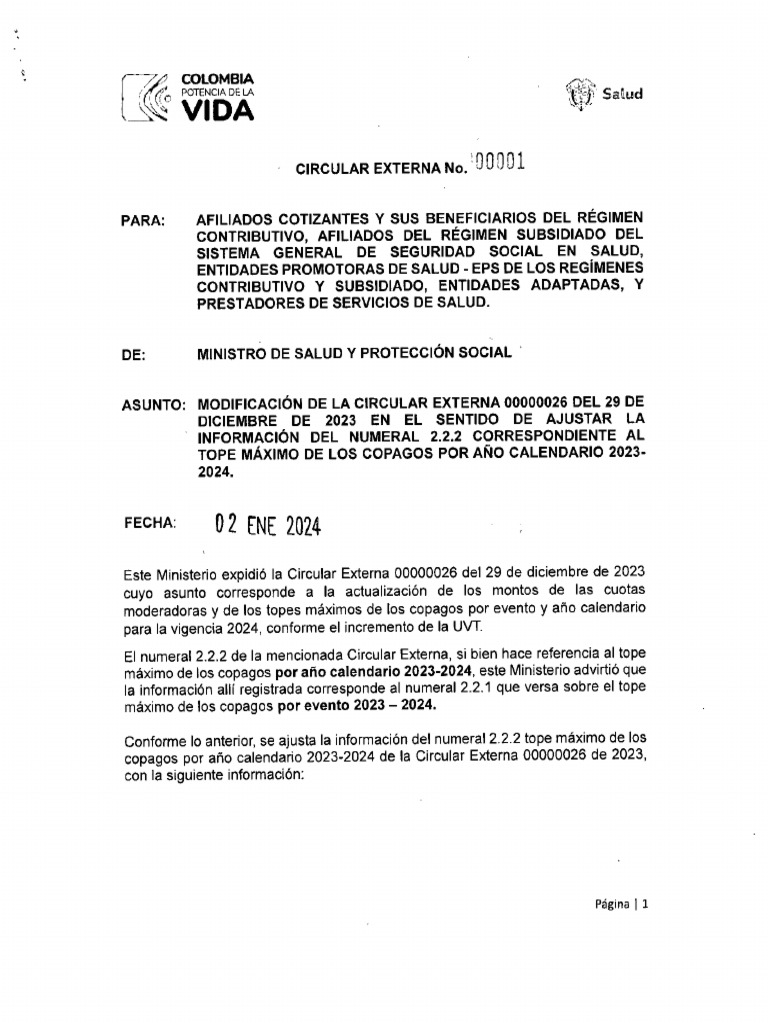 Circular Externa No 001 de 2024 | PDF | Gobierno
