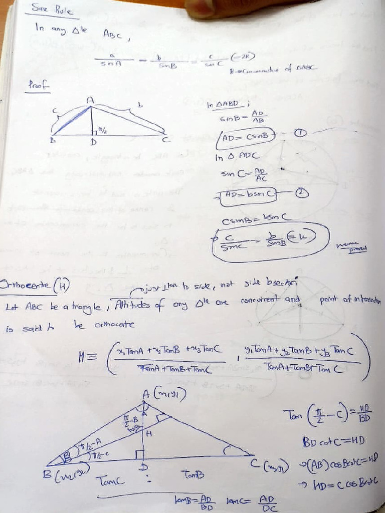 Straight Lines Notes Class 11th | PDF