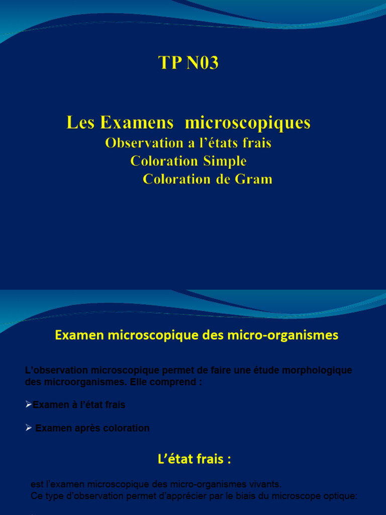 Tp 03 Coloration de gram | PDF