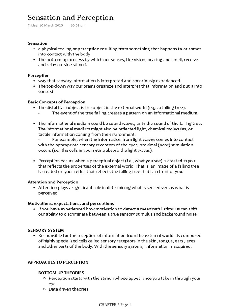 Sensation and Perception | PDF