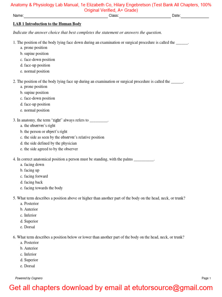 Manual | PDF | Anatomical Terms Of Location | Anatomy