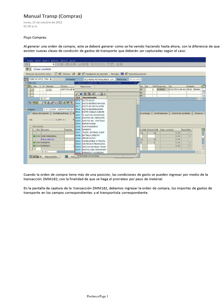 Manual Transp (Compras) | PDF