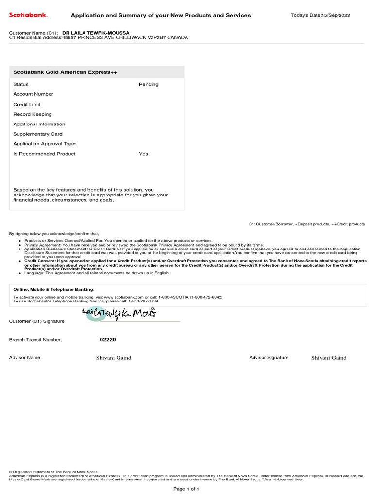 Summary Document 4 | PDF | Credit Card | American Express