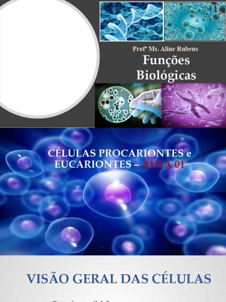 Células Procarionte e Eucarionte (Organelas) | PDF | Célula (Biologia) | Retículo endoplasmático