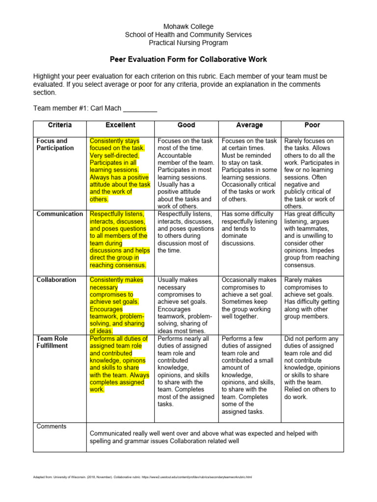 Peer Evaluation HS W21-1 | PDF | Knowledge | Rubric (Academic)