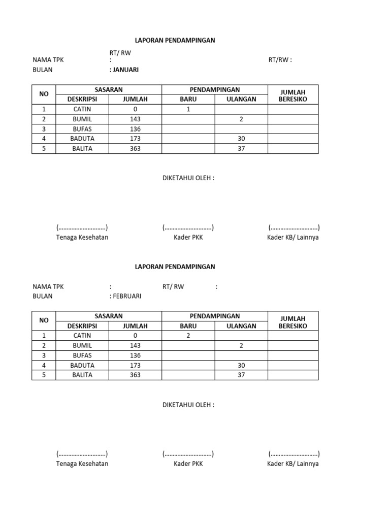 Laporan Pendampingan TPK 2024 | PDF