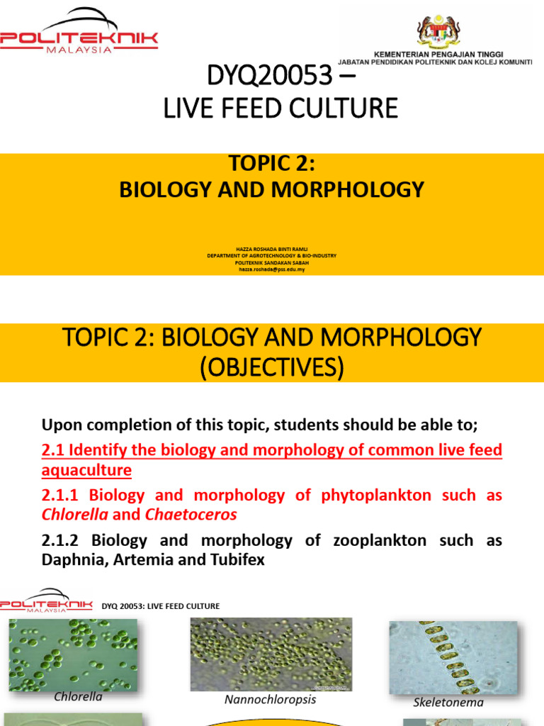 Dyq20053 - Chap 2 Biology Morphology | PDF | Algae | Phytoplankton