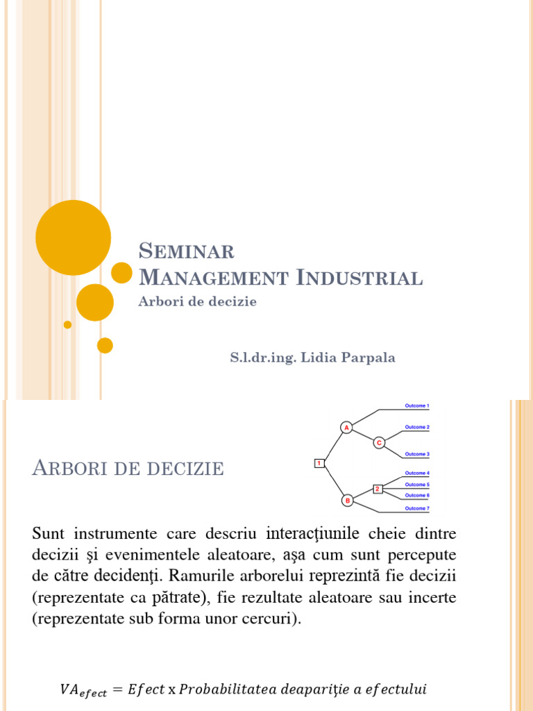 IV_-_Arbori_de_decizie | PDF