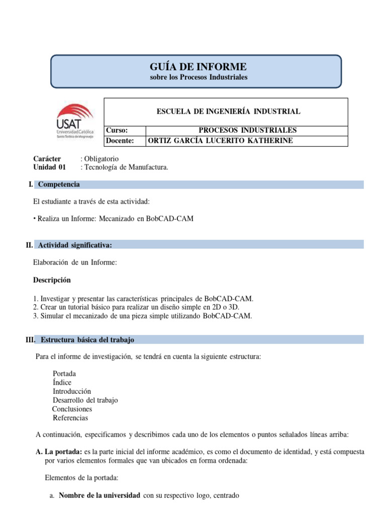 0-Esquema de Informe Pi - U1 Cad | PDF | Bibliografía