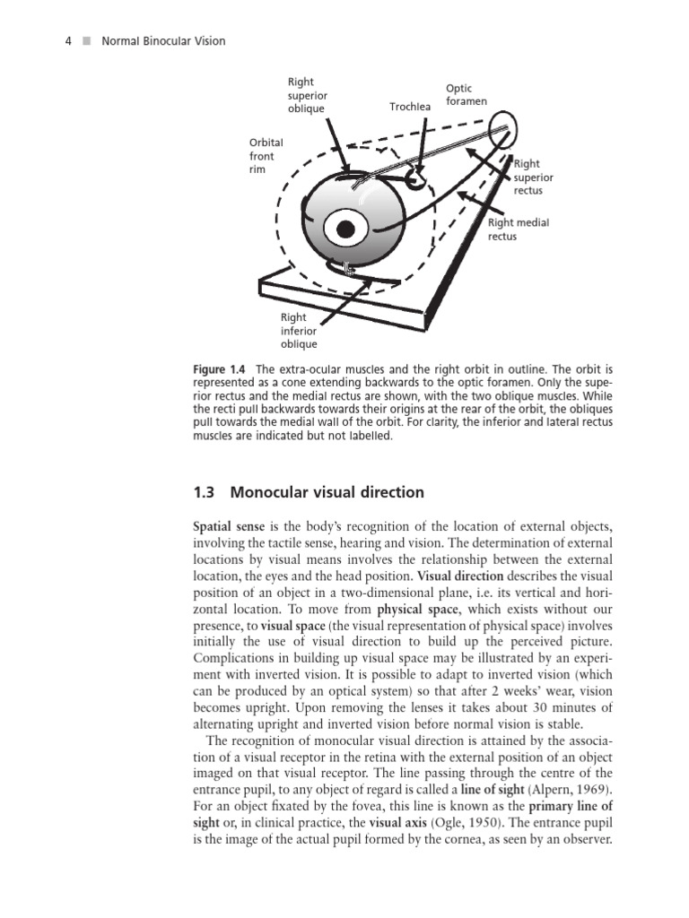 Lectura Direccion Visual (FLETCHER) | PDF | Visual System | Visual Perception