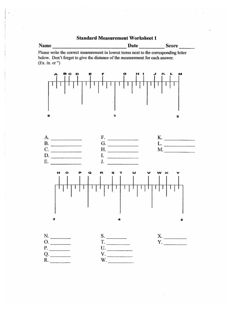 Activity 1 Standard Measurement Worksheet | PDF
