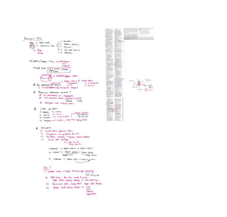 Materi Ppu Ide Pokok Pdf