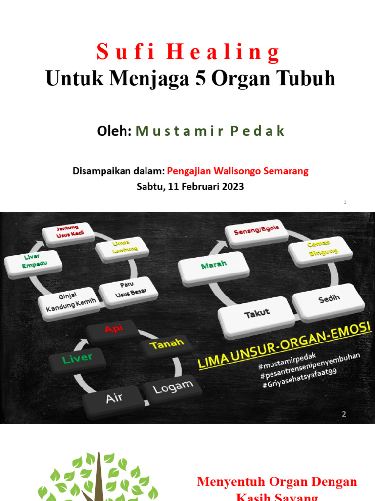 Sufi Healing Dan 5 Organ Tubuh | PDF