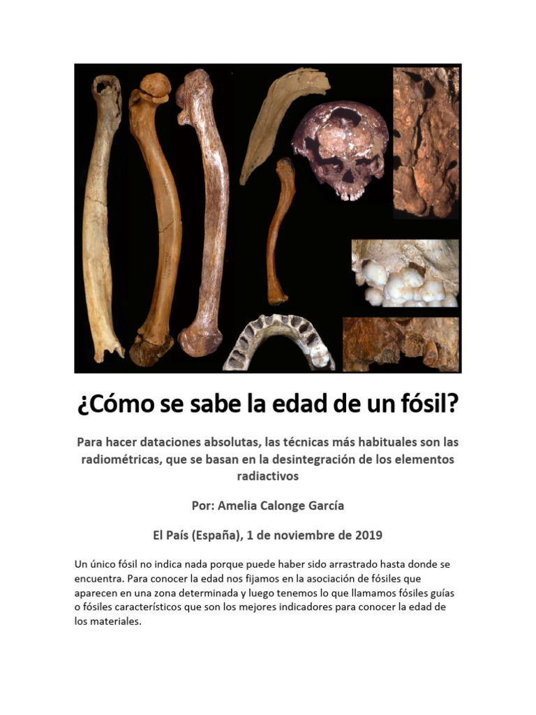 Cómo determinar la edad de un fósil | PDF | Geología | Ciencias de la ...