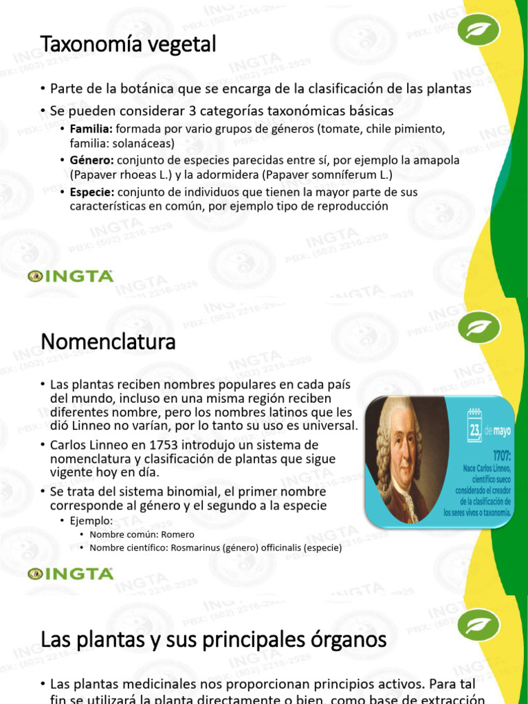 Fisiología Vegetal | PDF