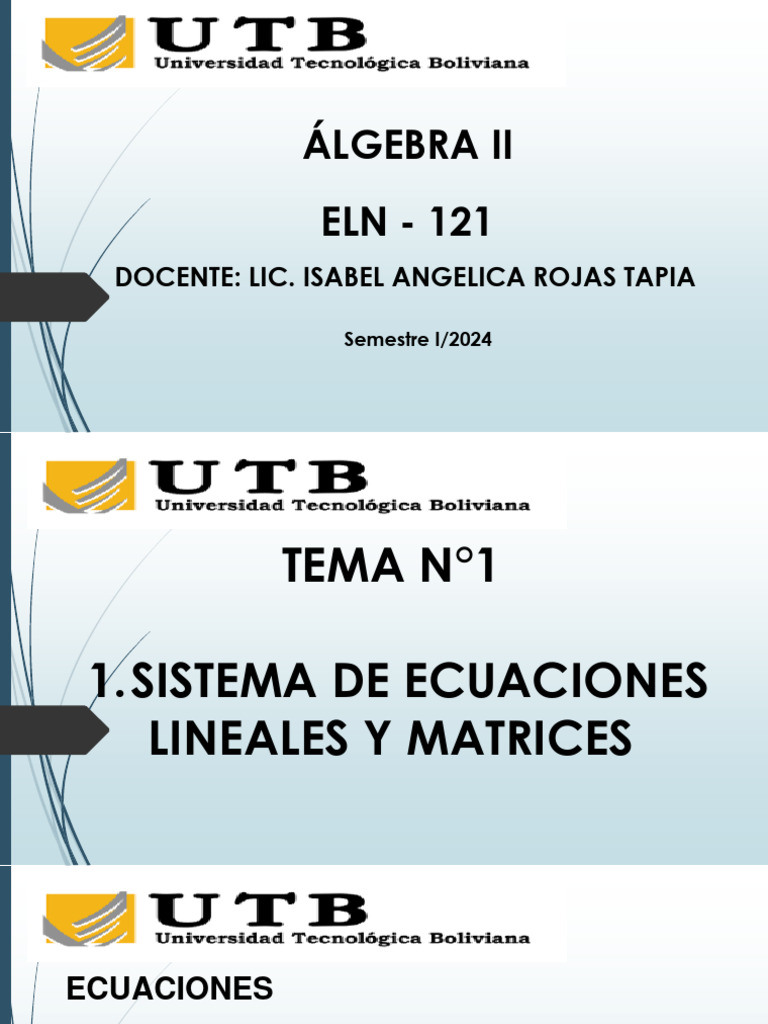 Tema #1 Matrices | PDF