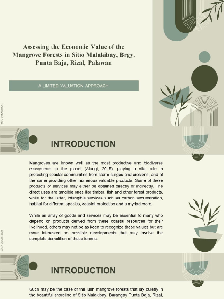 Economic Valuation Final Presentation | PDF