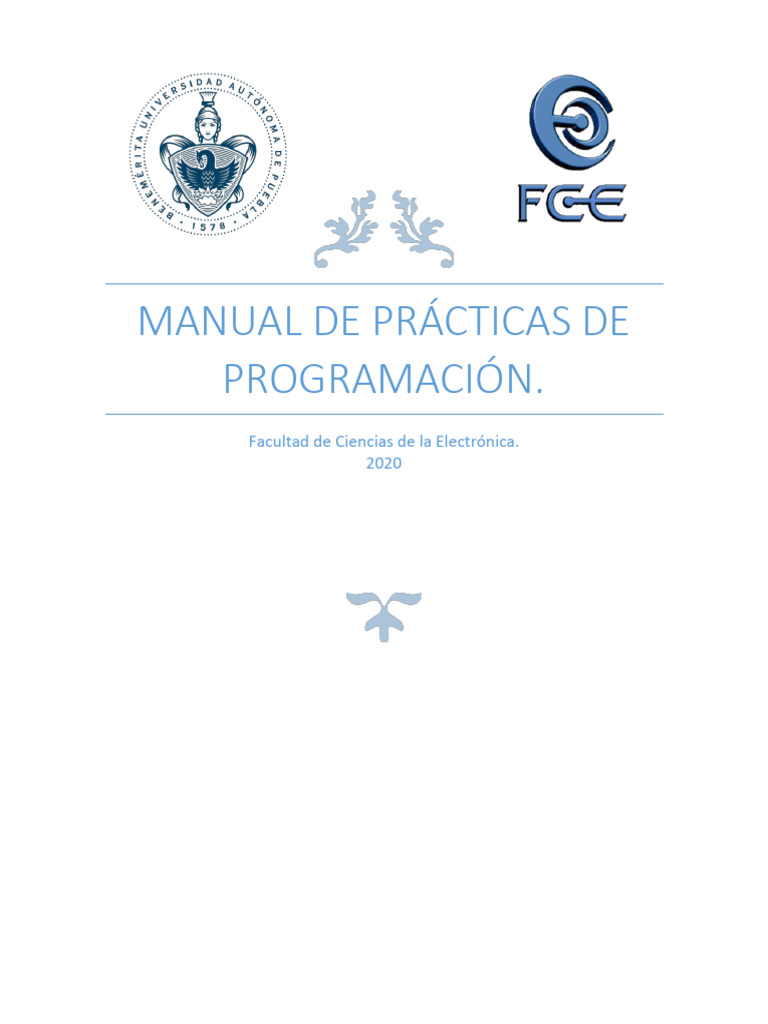 Manual - Prácticas Programación (Labs) | PDF