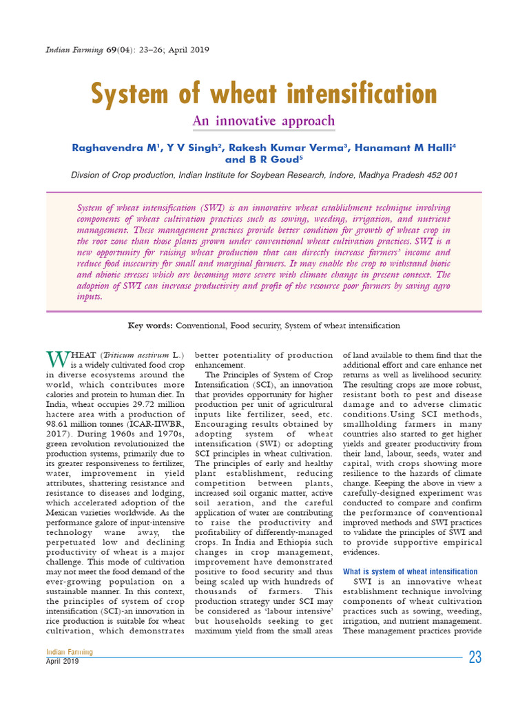 Ojsadmin, 07 System of Wheat Intensification | PDF | Agriculture | Wheat