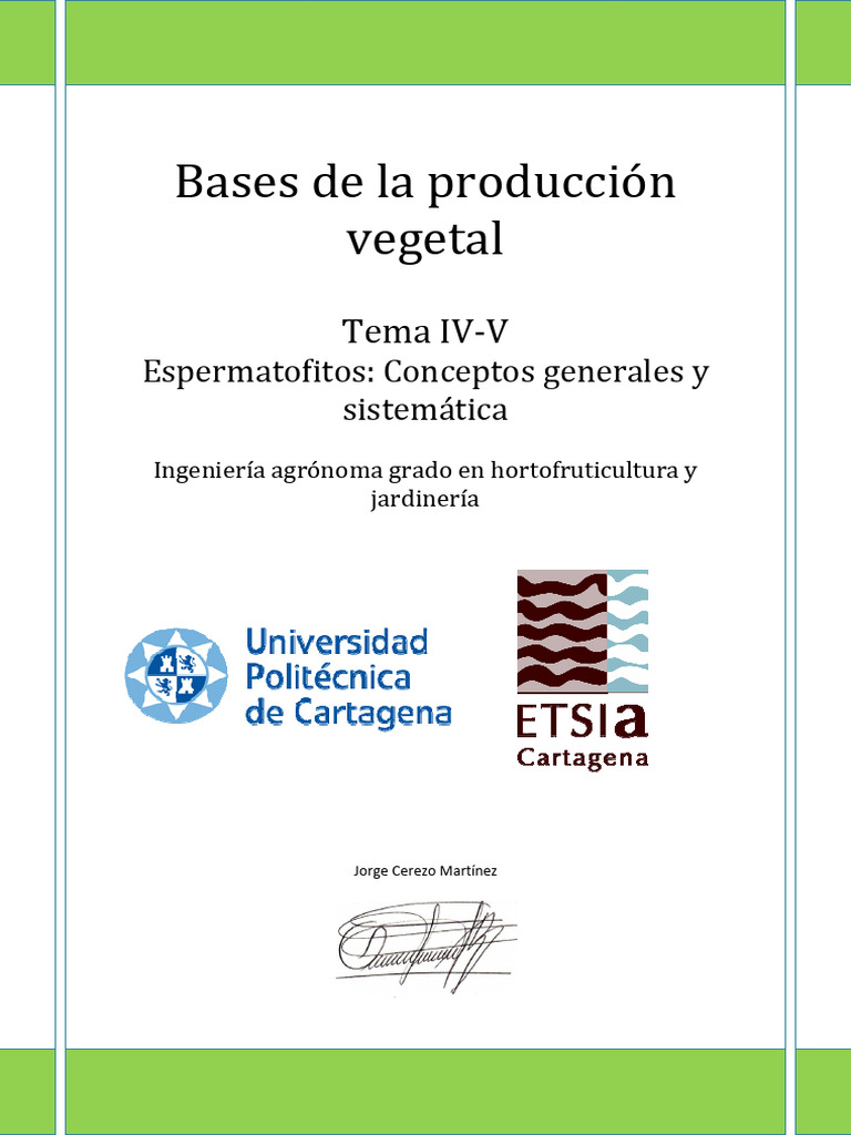 Espermatofitas | PDF