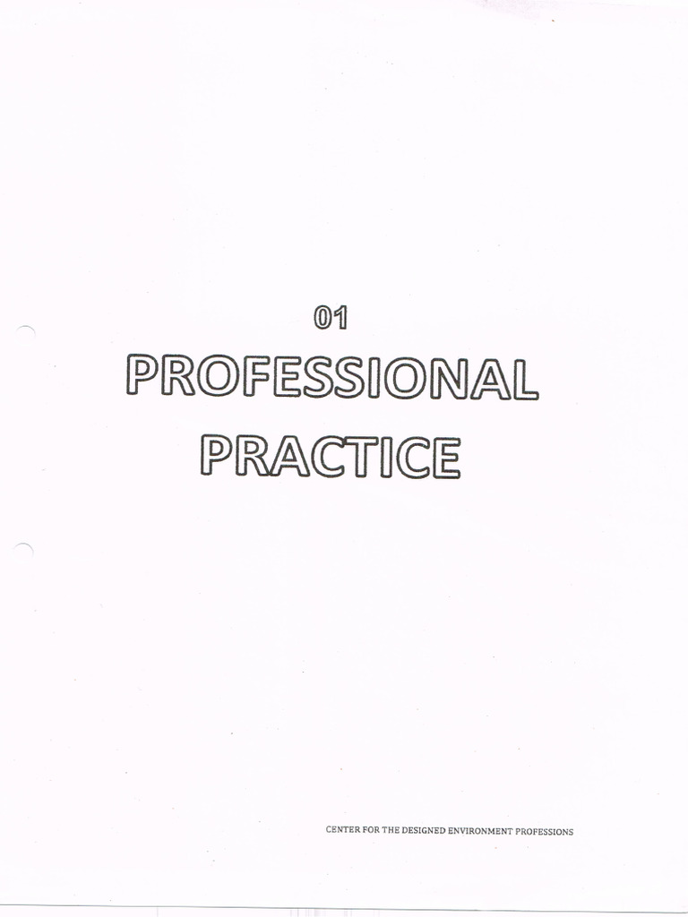 CDEP - Prof Prac 01 | PDF