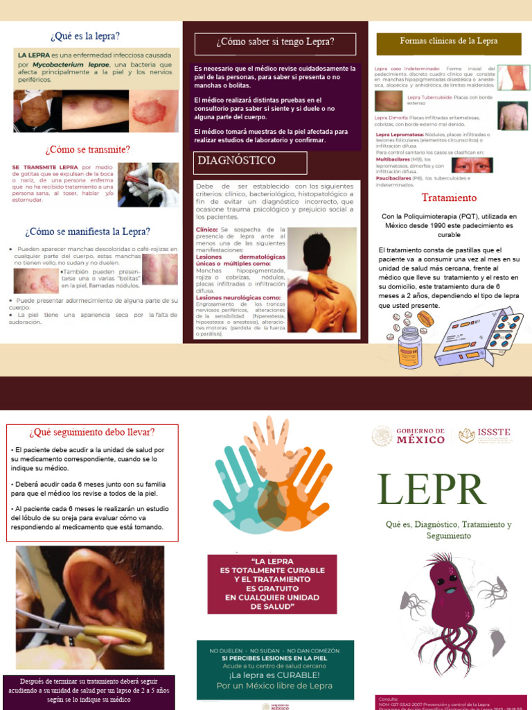 Guía sobre la Lepra: Diagnóstico y Tratamiento | PDF | Diagnostico ...