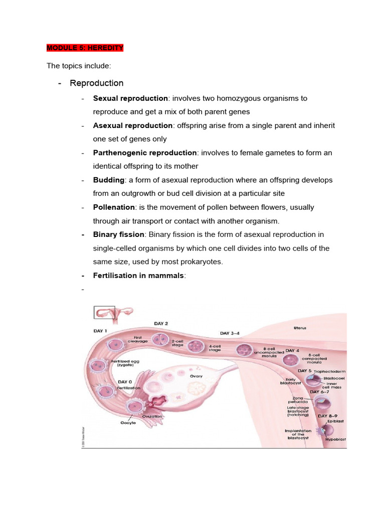 Understanding Heredity and Genetic Change | PDF | Immune System | Dna