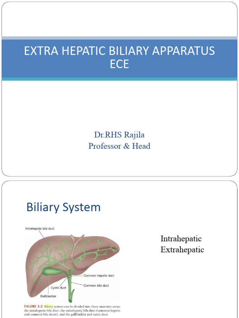Extra Hepatic Biliary Apparatus ECE: DR - RHS Rajila Professor & Head ...