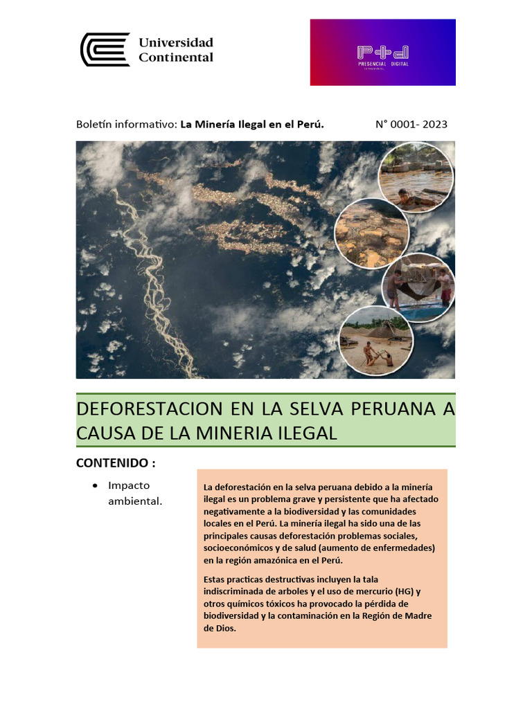 Portada Boletin Informativo 2.1 | PDF