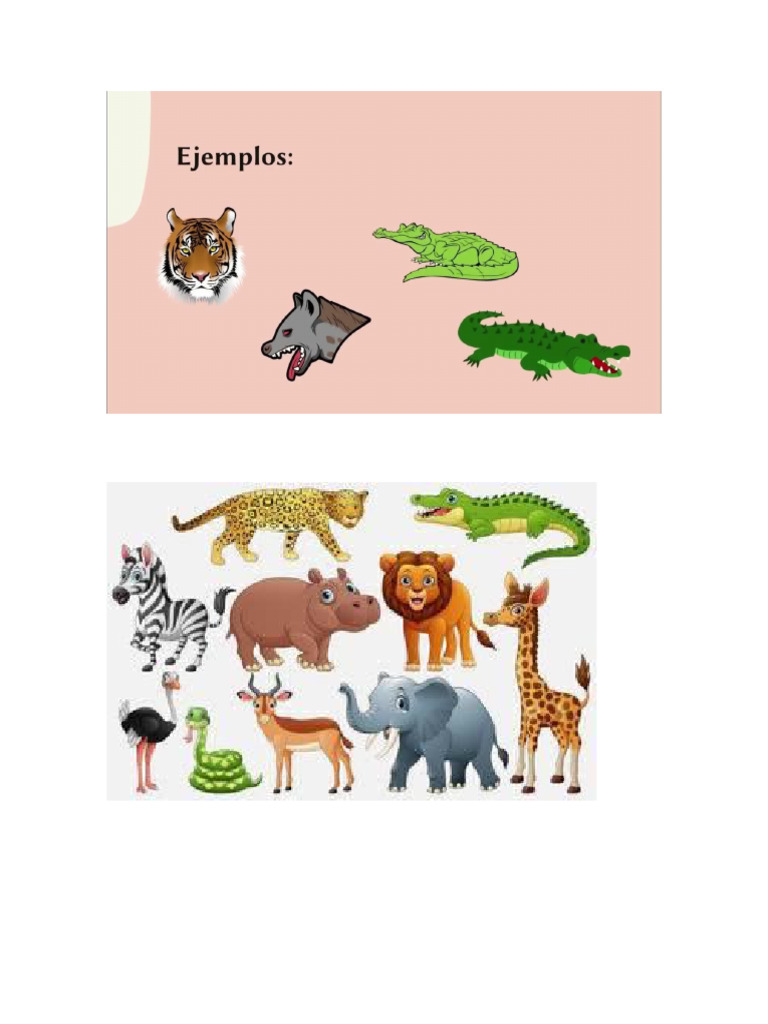 Animales Silvestres | PDF