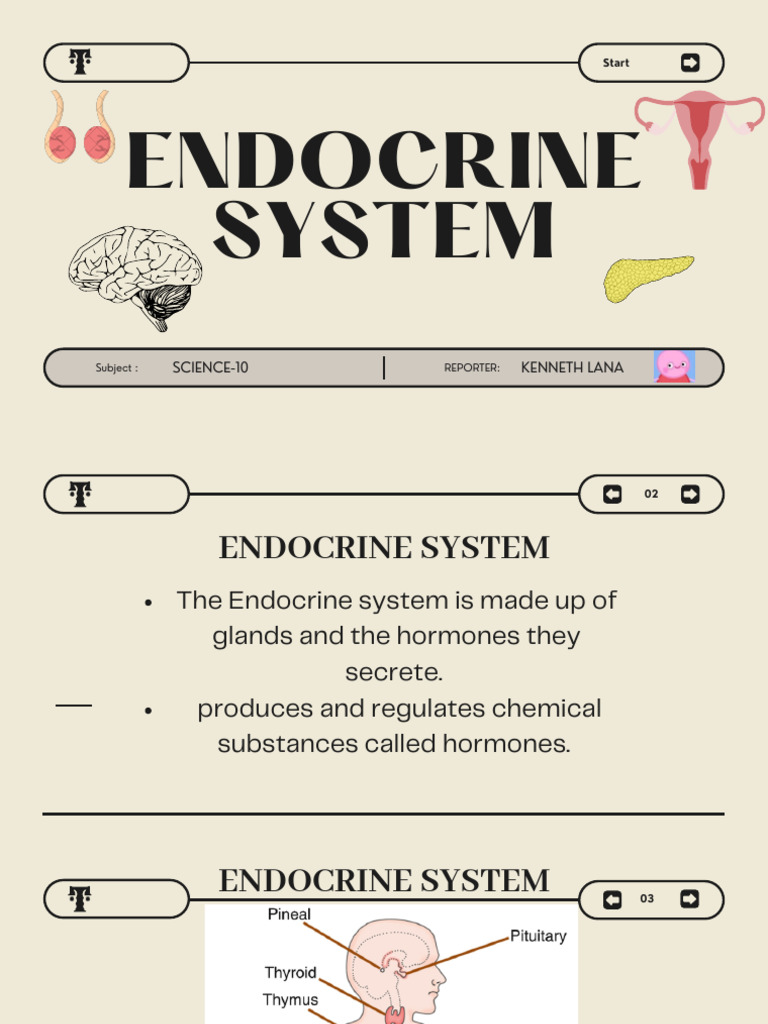 Endocrine System: Kenneth Lana Science-10 | PDF | Adrenal Gland ...